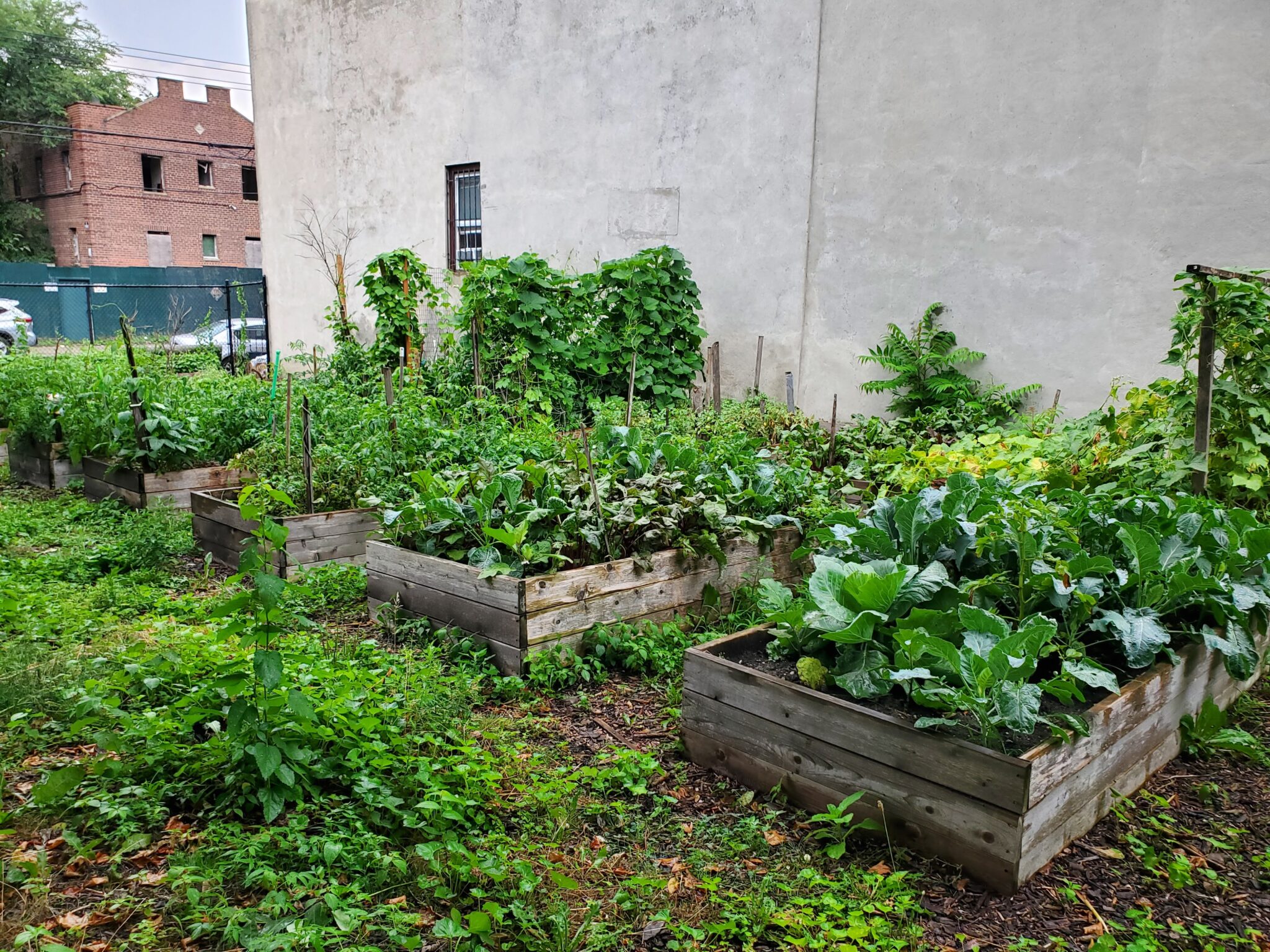 Corporate Volunteer Opportunities - GrowNYC