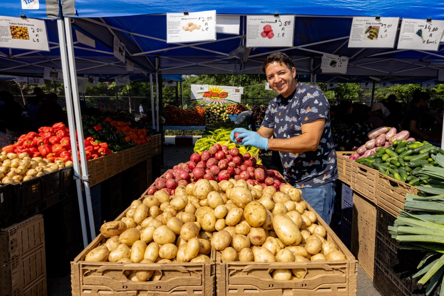 GrowNYC | Growing a resilient and sustainable New York City